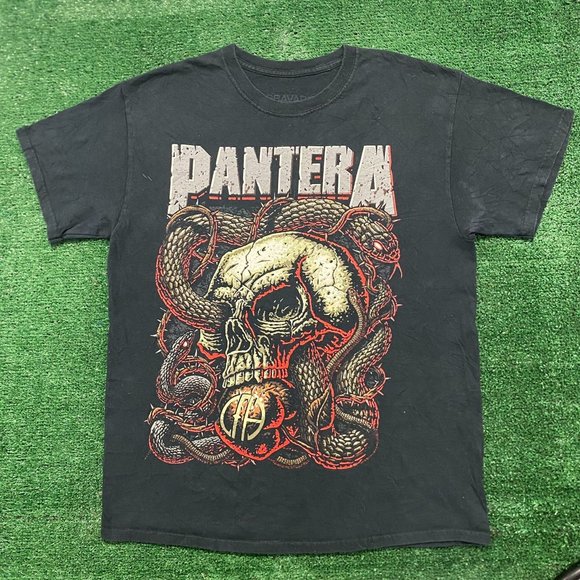 Pantera | Shirts | Vintage Y2k Pantera Skull Snake Heavy Metal Rock ...